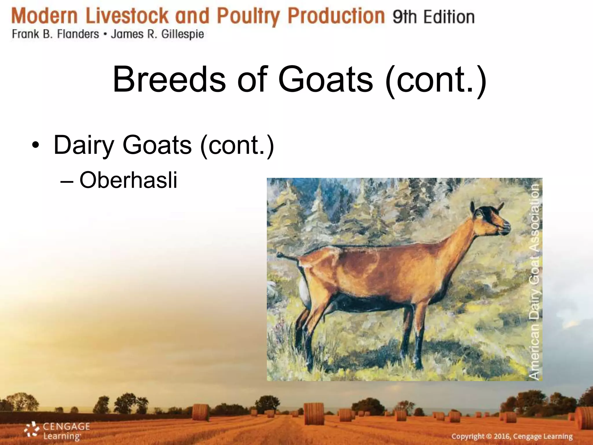 Breeds, Selection, Feeding, and Management of Goats.pptx