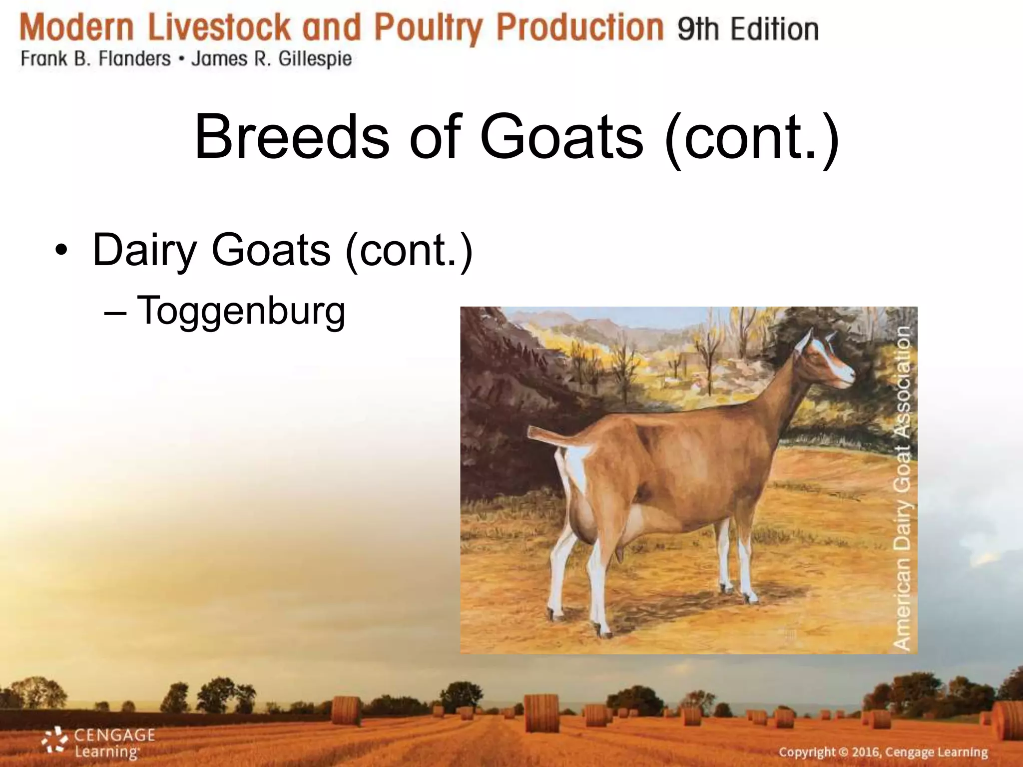 Breeds, Selection, Feeding, and Management of Goats.pptx
