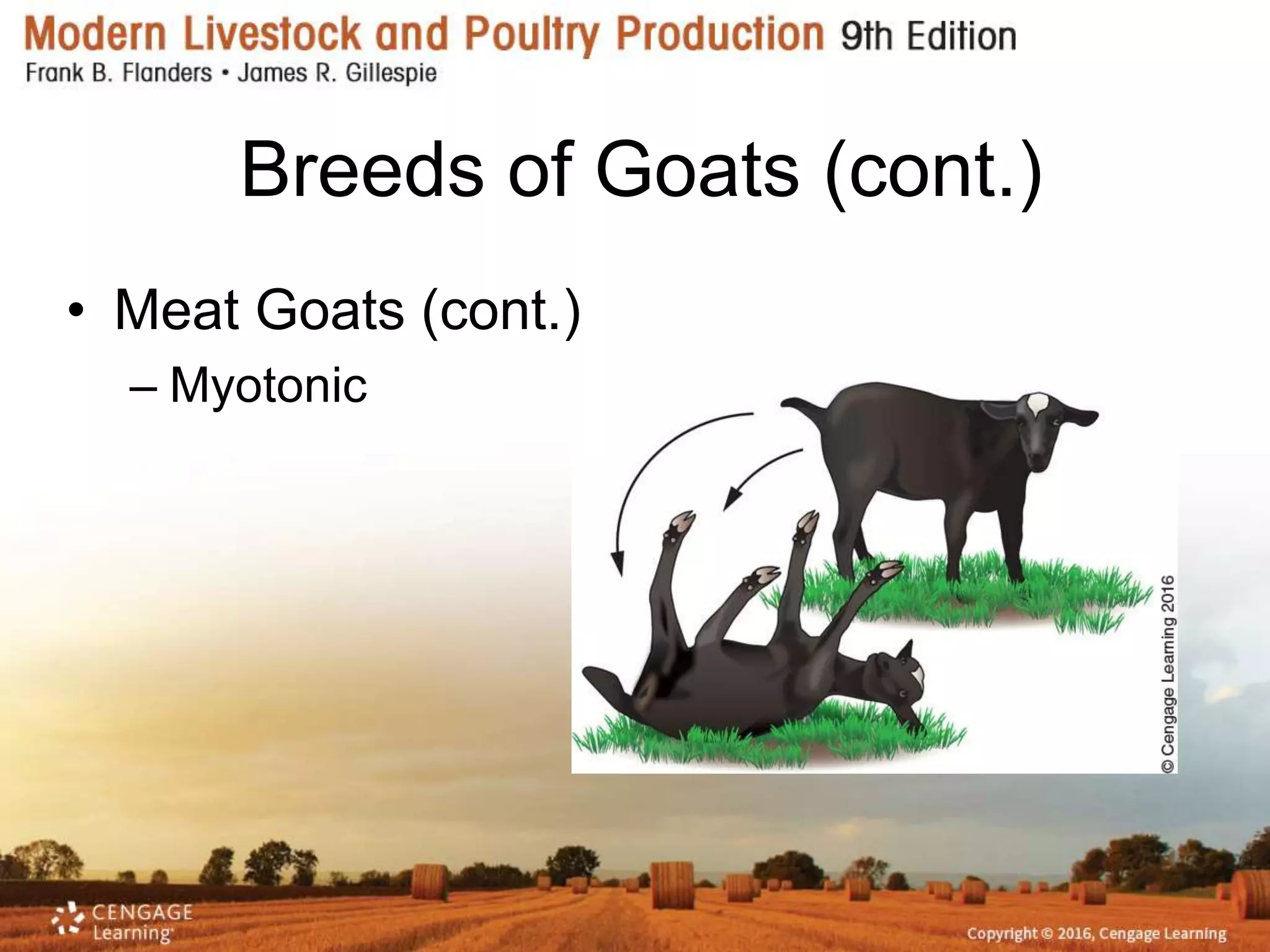 Breeds, Selection, Feeding, and Management of Goats.pptx