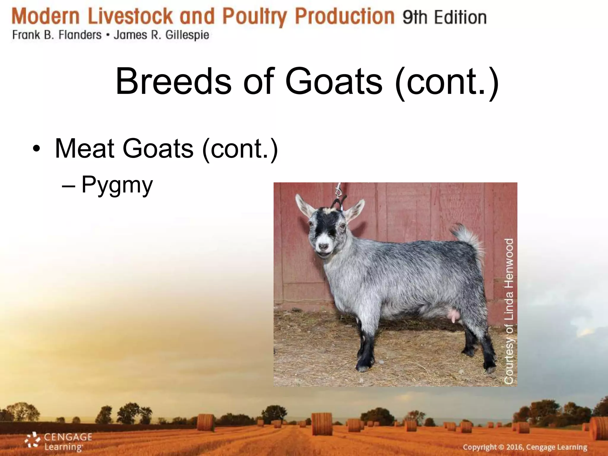 Breeds, Selection, Feeding, and Management of Goats.pptx