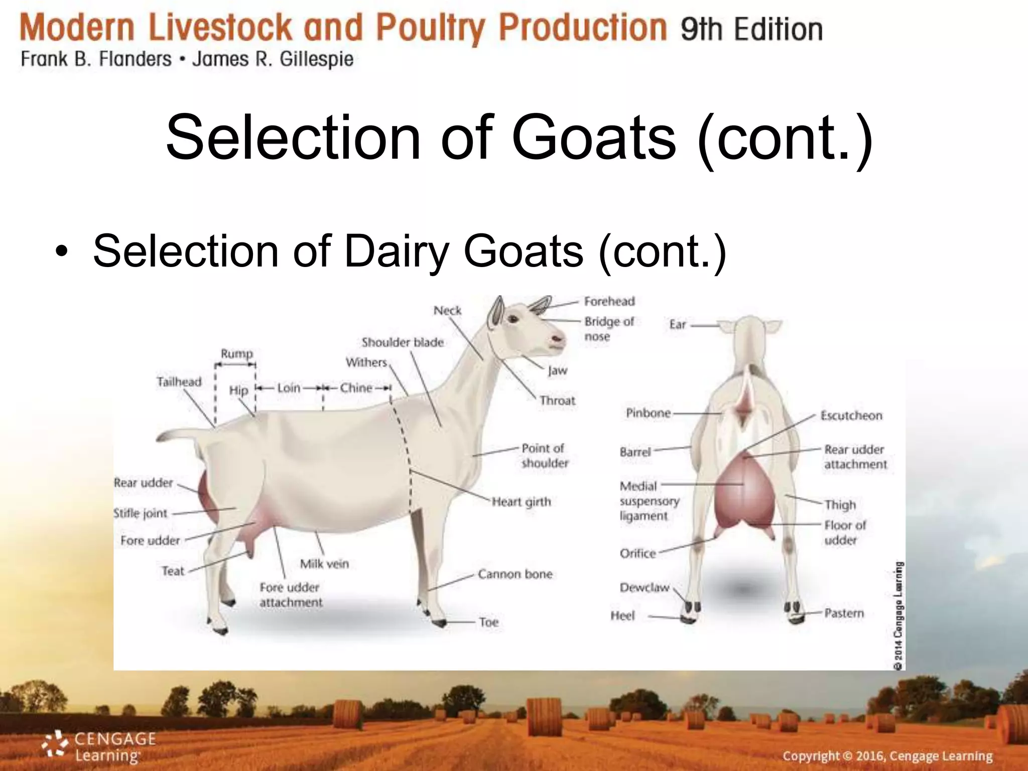 Breeds, Selection, Feeding, and Management of Goats.pptx