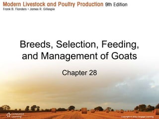 Breeds, Selection, Feeding, and Management of Goats.pptx