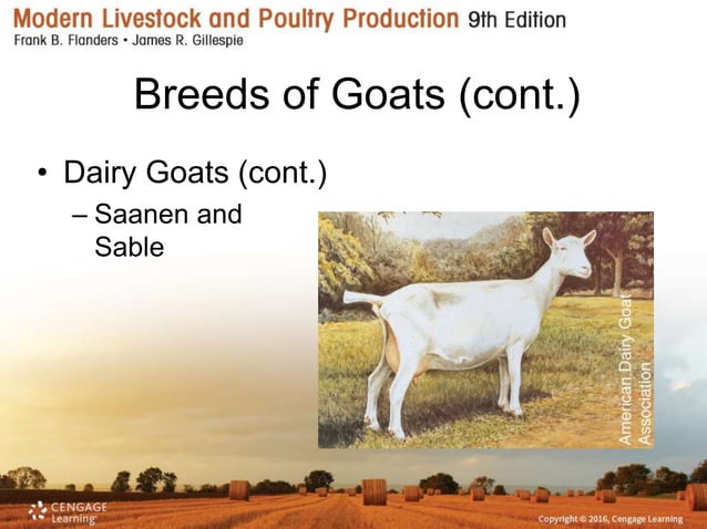 Breeds, Selection, Feeding, and Management of Goats.pptx