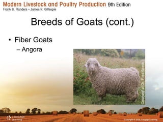 Breeds, Selection, Feeding, and Management of Goats.pptx