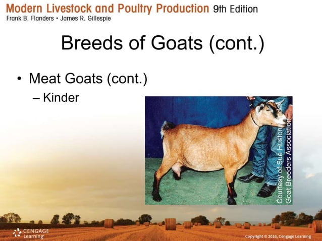 Breeds, Selection, Feeding, and Management of Goats.pptx