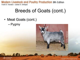 Breeds, Selection, Feeding, and Management of Goats.pptx