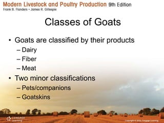 Breeds, Selection, Feeding, and Management of Goats.pptx