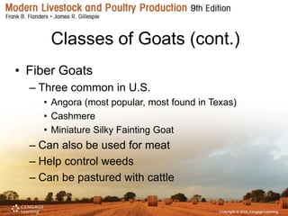 Breeds, Selection, Feeding, and Management of Goats.pptx