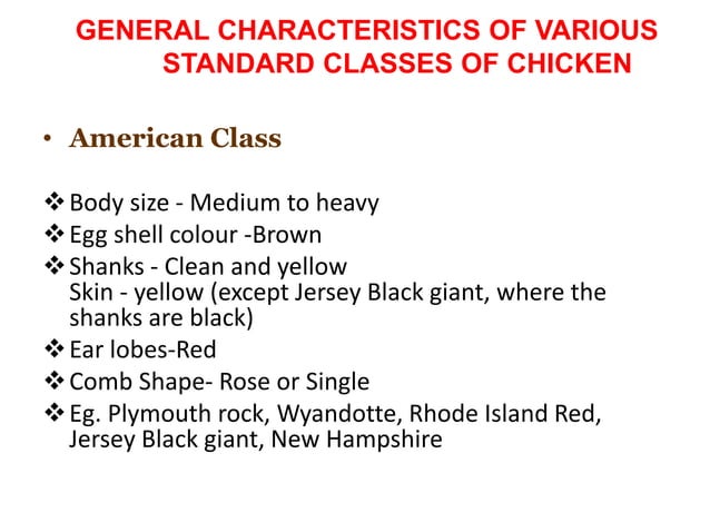classification poultry breeds (chicken, turkey, duck and quail) | PPTX