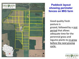 Bren 1 Grazing Based Dairy Systems | PPTX