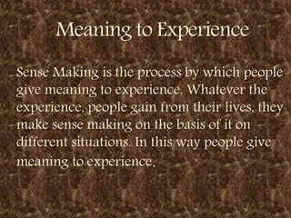 Brenda dervin-final-presentation.. | PPTX