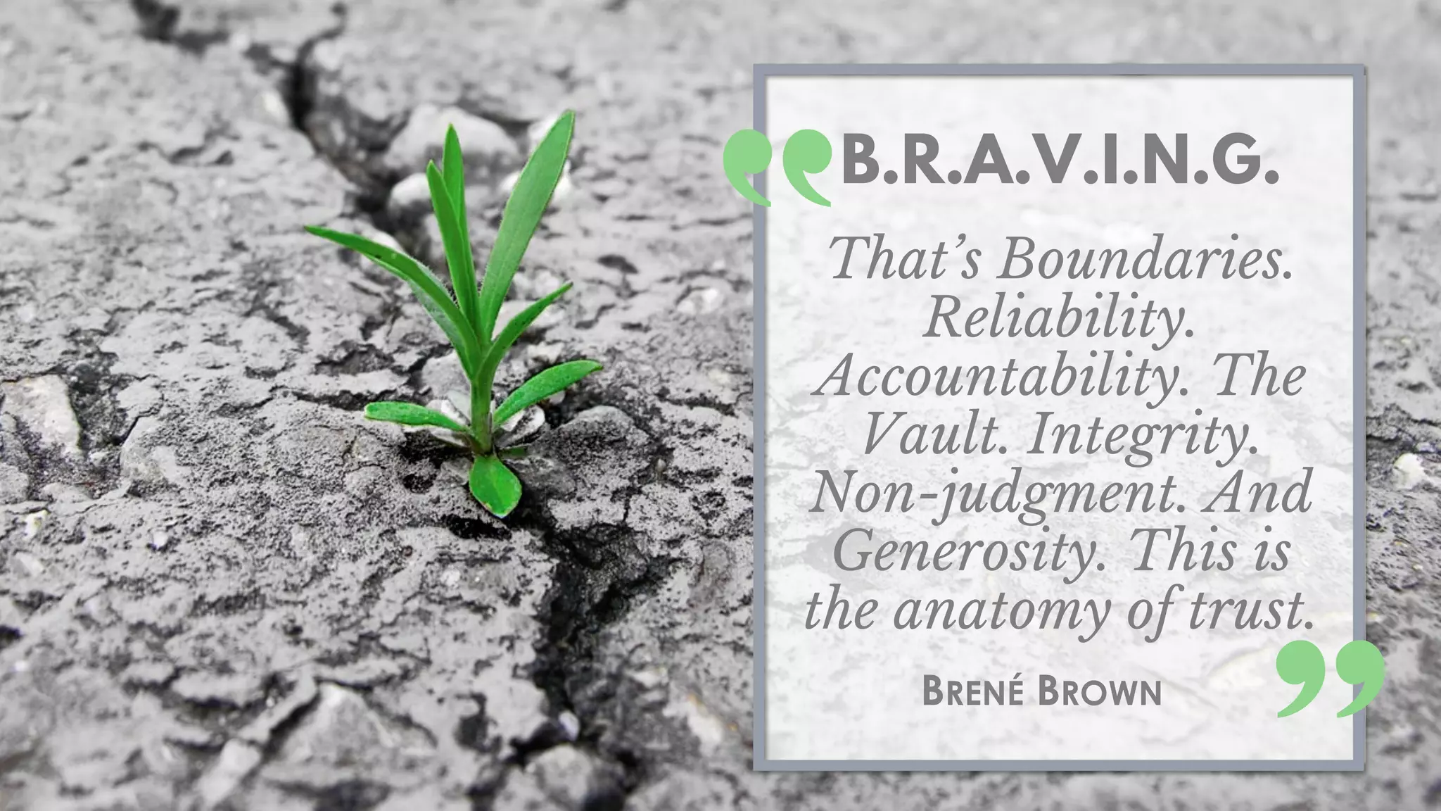 Brené Brown Quotes | PDF
