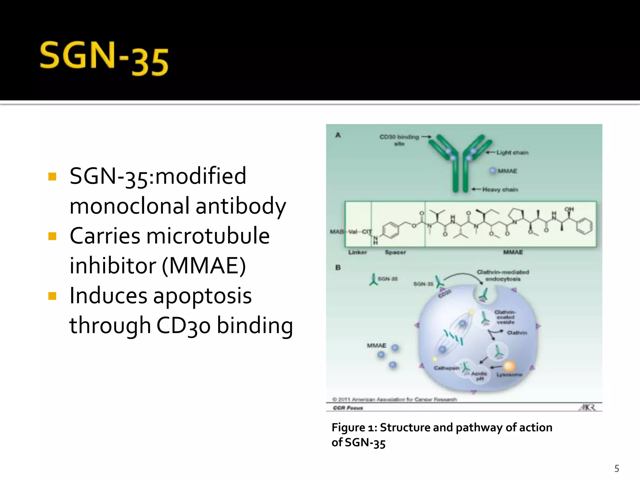 Brentuximab vedotin (sgn 35) | PPTX | Cancer | Diseases and Conditions