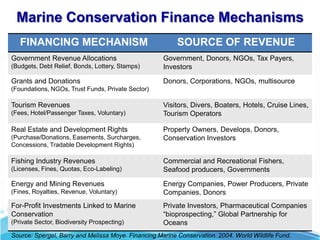 Developing Sustainable Conservation Finance Strategies for Coral Reef ...
