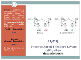 Breve storia del DNA | PPT