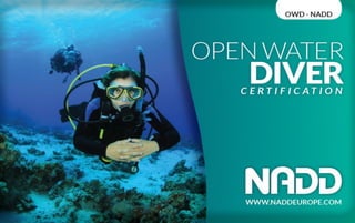 Open Water Diver Certificate | PDF | Scuba Diving | Extreme Sports