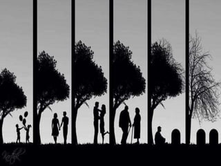 Brevity of life | PPTX