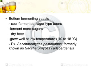 Breweries | PPT