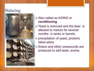 Industrial procedure of beer making | PPTX
