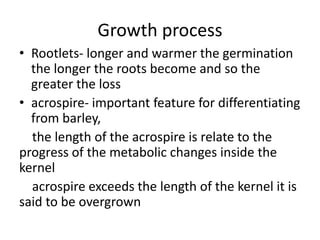Chemistry in Brewing- Beer | PPTX