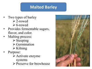 Chemistry in Brewing- Beer | PPTX