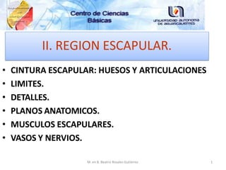 REGION ESCAPULAR TRAUMATOLOGIA Y ORTOPEDIA | PPTX