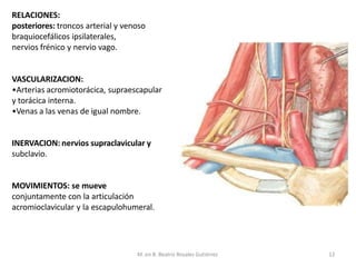 REGION ESCAPULAR TRAUMATOLOGIA Y ORTOPEDIA | PPTX