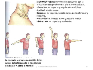 REGION ESCAPULAR TRAUMATOLOGIA Y ORTOPEDIA | PPTX