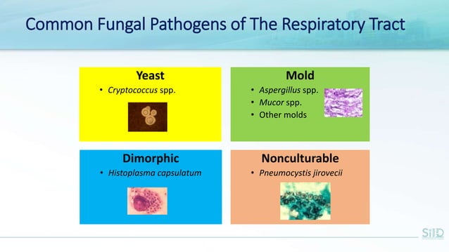 Methee_Chayakulkeeree.pptx