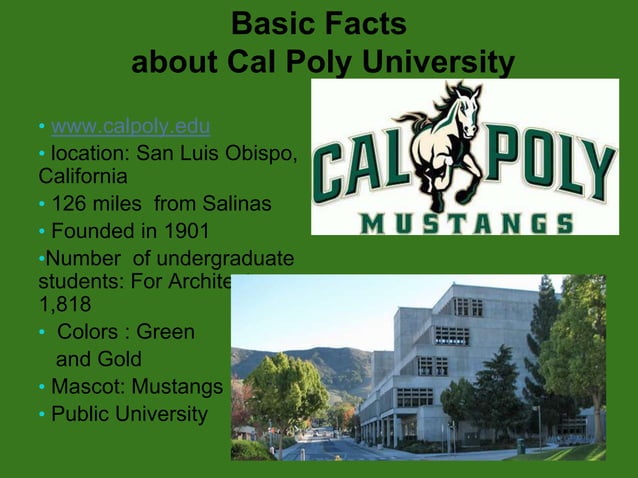 Brian.beltran.cal poly | PPT