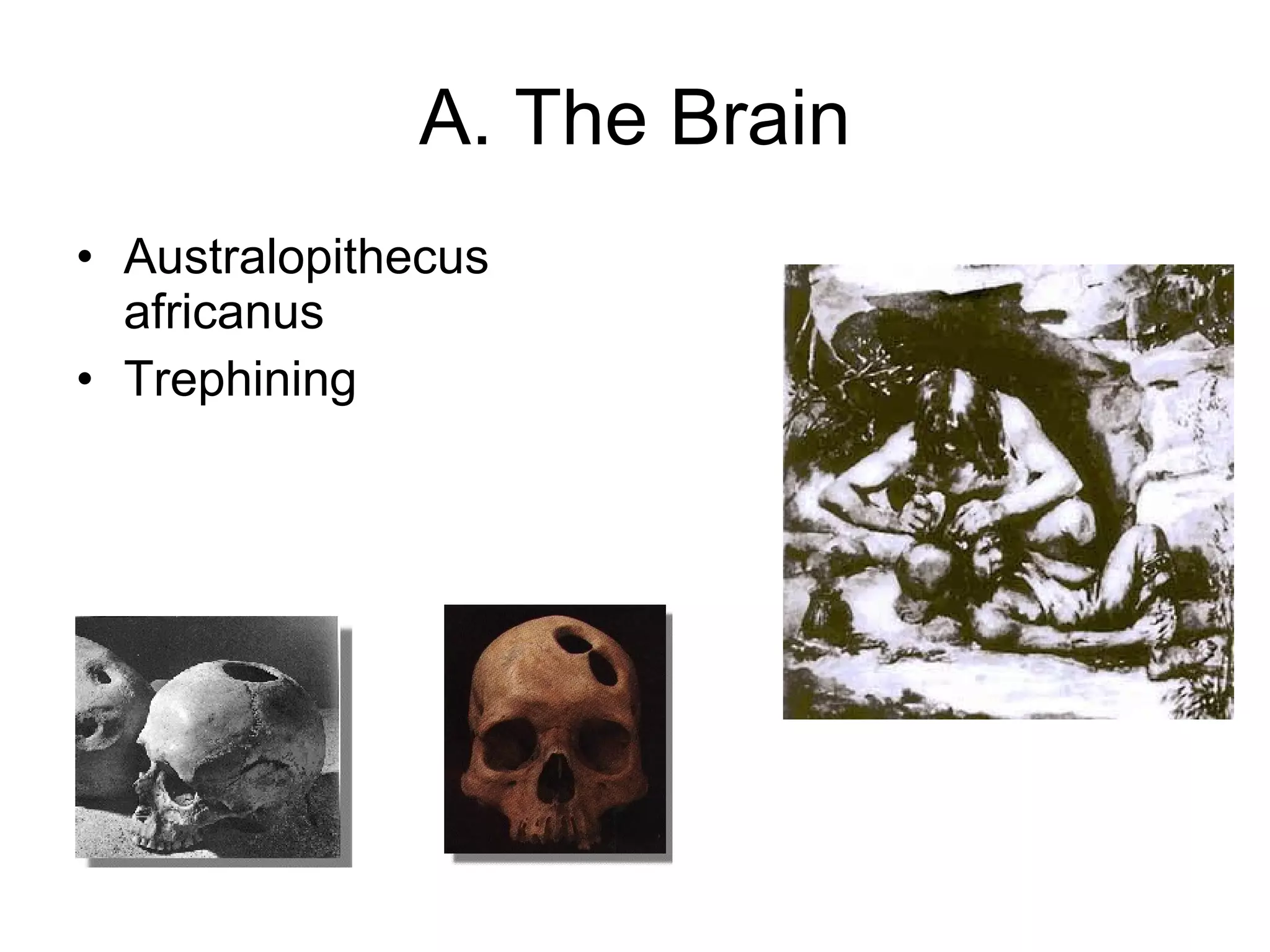 Brian Disorders | PPT