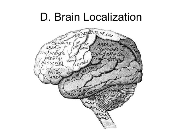 Brian Disorders | PPT | Brain and Nervous System Disorders | Diseases ...