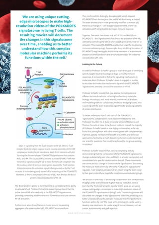 Brian schaefer-scientia | PDF | Infectious Diseases | Diseases and ...
