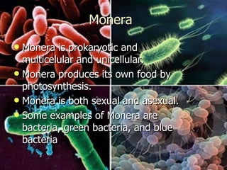 Brianne And Rochelle | PPT