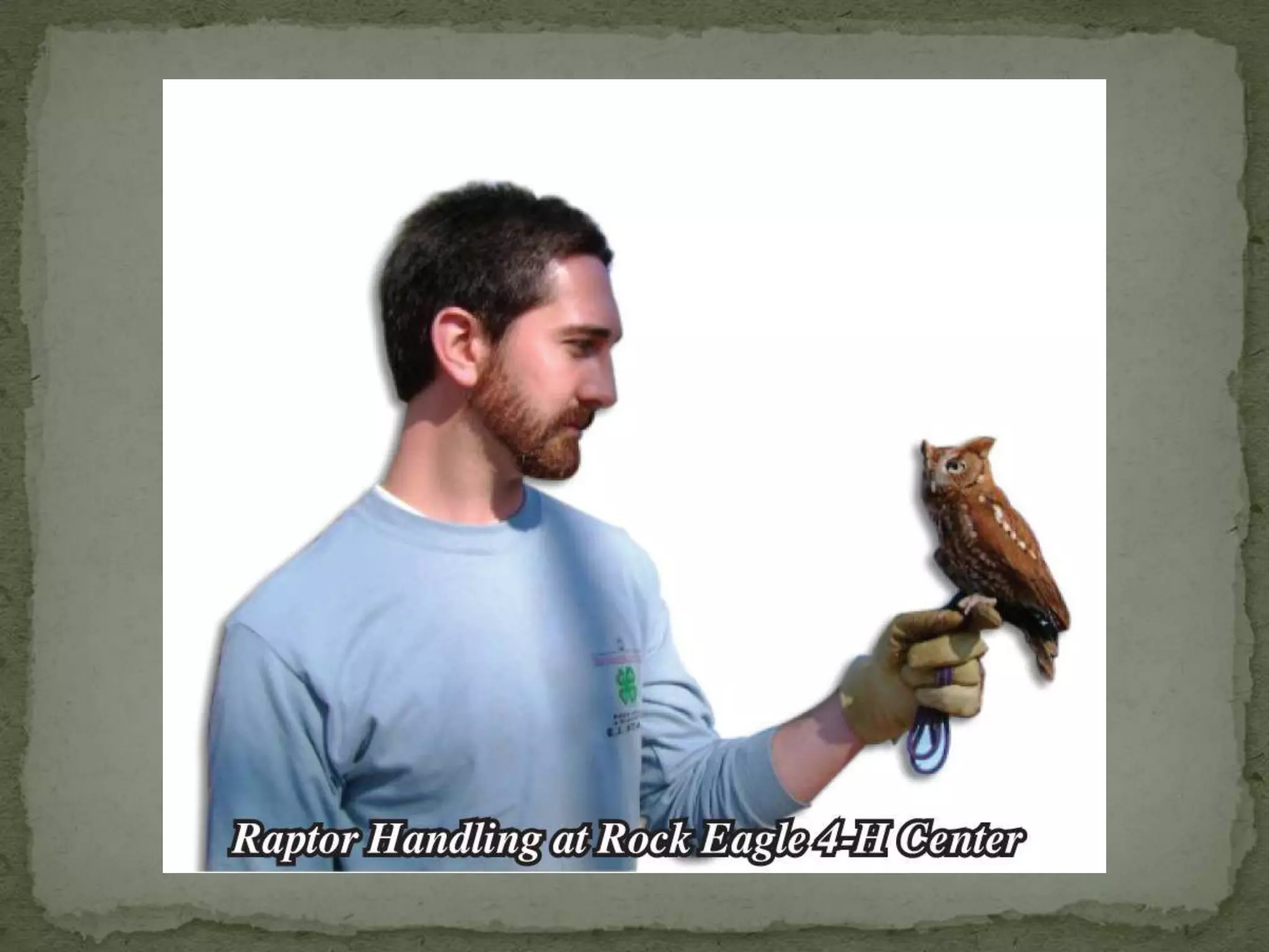 Brian Presentation 2 | PPTX