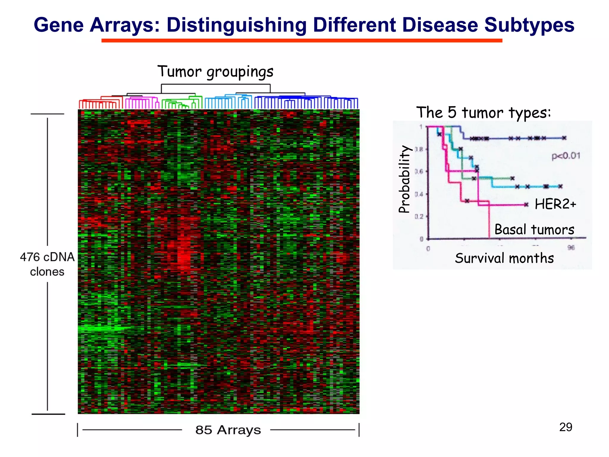 Brian_Strahl 2013_class_on_genomics_and_proteomics | PPT