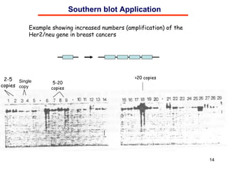 Brian_Strahl 2013_class_on_genomics_and_proteomics | PPT