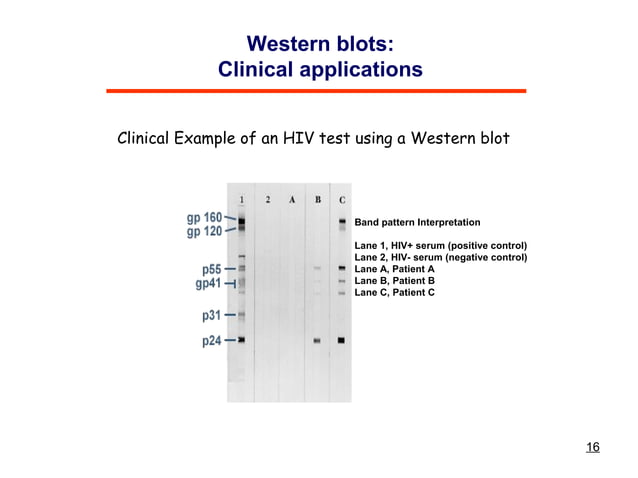 Brian_Strahl 2013_class_on_genomics_and_proteomics | PPT