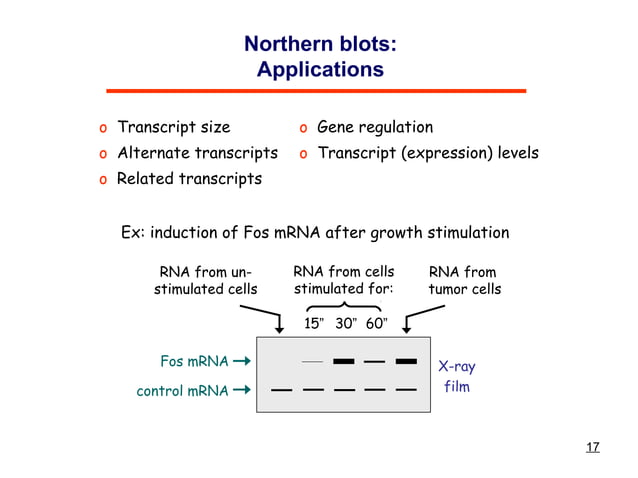 Brian_Strahl 2013_class_on_genomics_and_proteomics | PPT