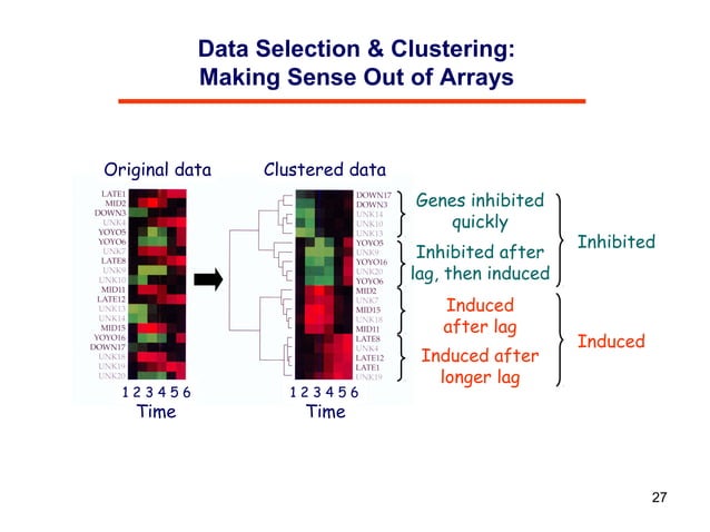 Brian_Strahl 2013_class_on_genomics_and_proteomics | PPT