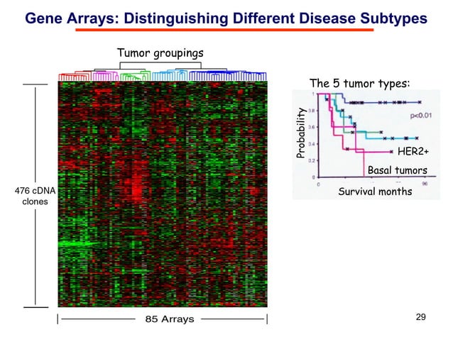 Brian_Strahl 2013_class_on_genomics_and_proteomics | PPT