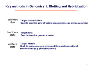 Brian_Strahl 2013_class_on_genomics_and_proteomics | PPT
