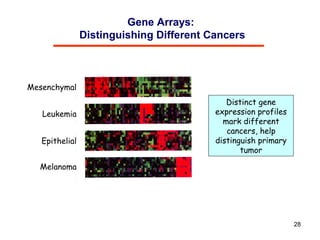 Brian_Strahl 2013_class_on_genomics_and_proteomics | PPT