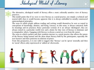 Literacy in Theory and Practice by Brian Street | PDF