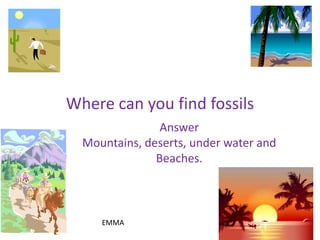 Ms. Brice's Class Fossil Presentation | PPT