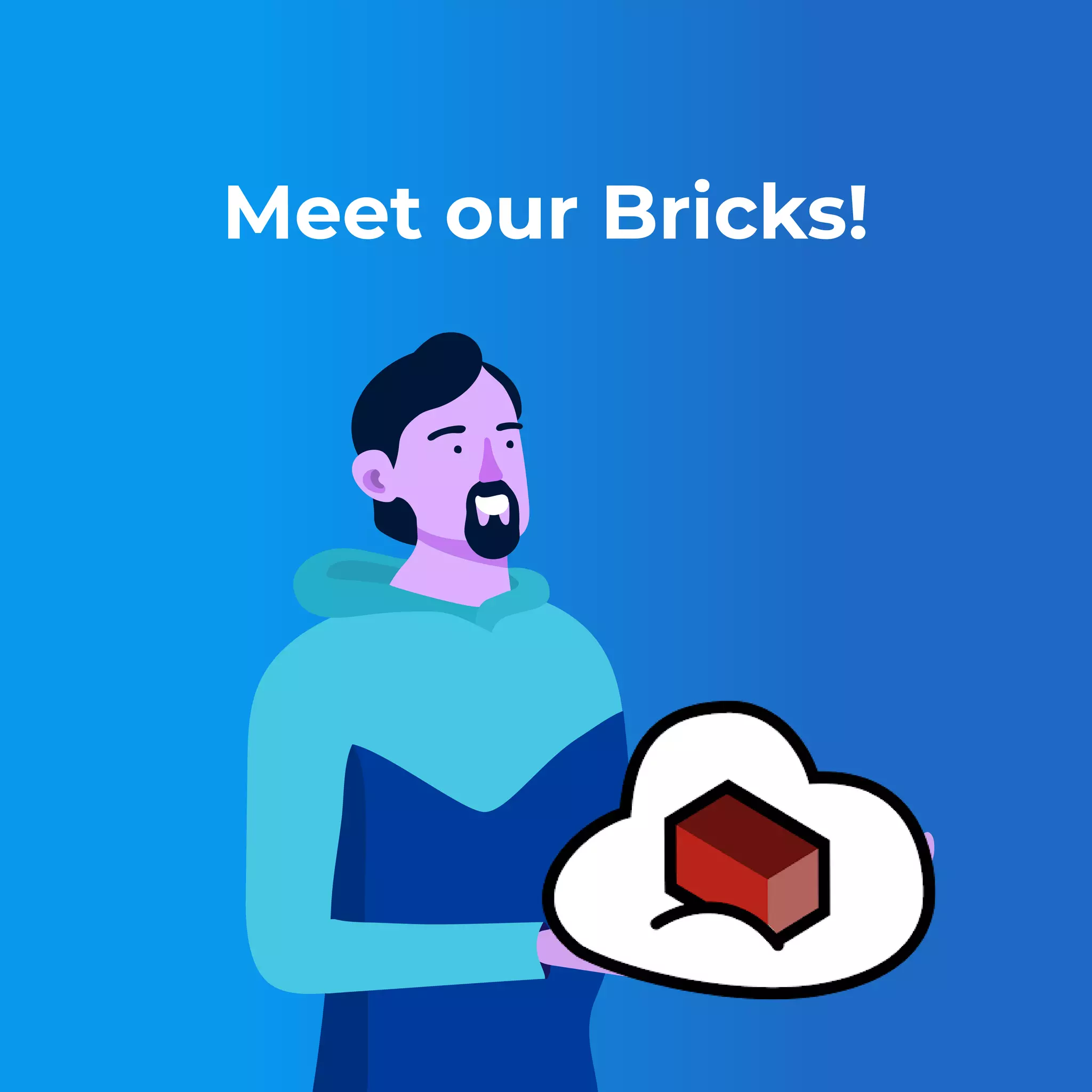 Meet our Bricks! | PDF