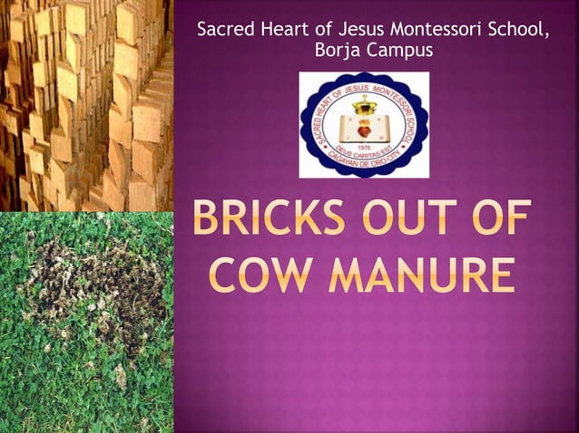 Bricks Out of Cow Manure | PPTX | Vegan Diets | Food & Drink