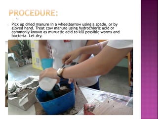 Bricks Out of Cow Manure | PPTX