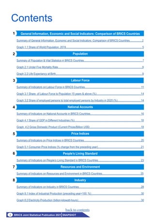 BRICS Joint Statistical 2021 | PDF
