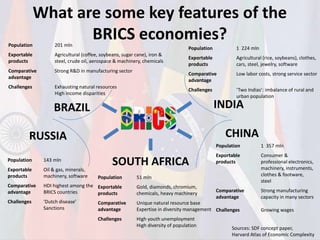 BRICS - Skills development areas | PPTX